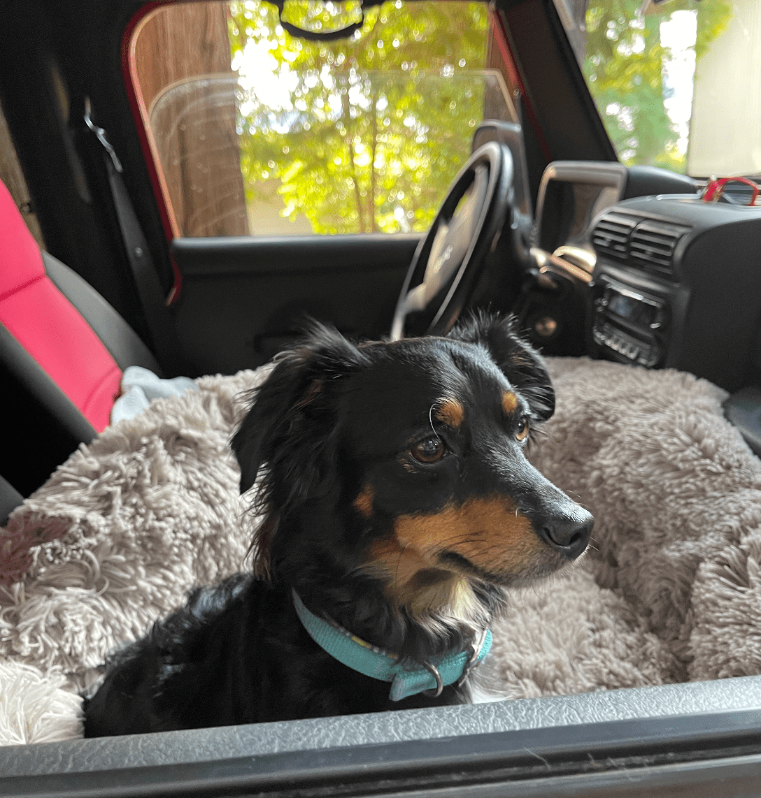 Following the Flow - Shana Olmstead